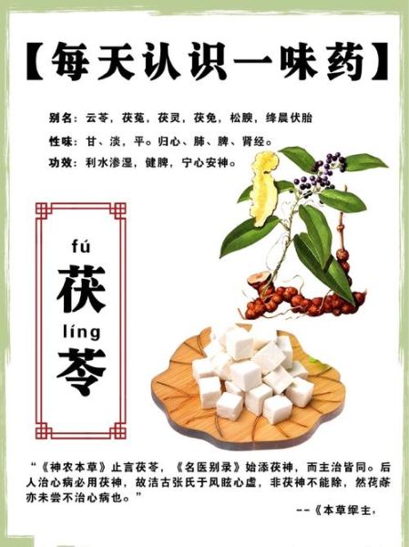 茯苓块的功效与作用_茯苓块主治哪些疾病-第1张图片-山城妙识