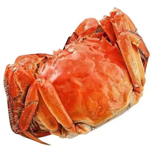 盘锦河蟹哪里最正宗_盘锦河蟹最正宗产地-第1张图片-山城妙识