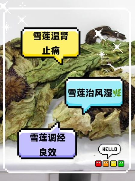 天山雪莲泡水喝的功效_天山雪莲泡水喝的禁忌-第2张图片-山城妙识