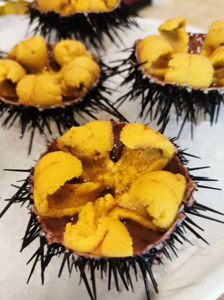 海胆怎么做好吃_海胆的吃法有哪些-第2张图片-山城妙识 海胆怎么做好吃_海胆的吃法有哪些-第2张图片-山城妙识