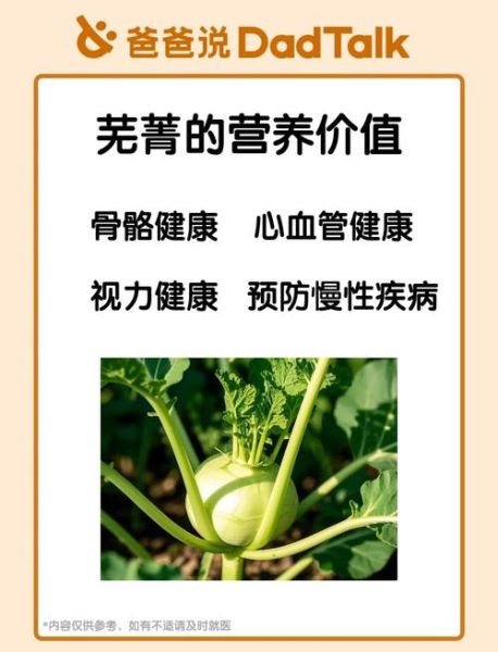 芜菁是什么蔬菜_芜菁和萝卜的区别-第2张图片-山城妙识