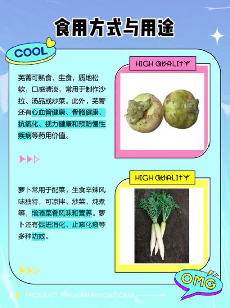 芜菁是什么蔬菜_芜菁和萝卜的区别-第1张图片-山城妙识