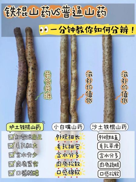 淮山药和铁棍山药哪个健脾效果好_区别与吃法-第1张图片-山城妙识 淮山药和铁棍山药哪个健脾效果好_区别与吃法-第1张图片-山城妙识