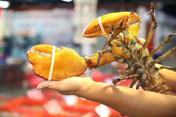 大龙虾多少钱一斤_今日批发价是多少-第2张图片-山城妙识