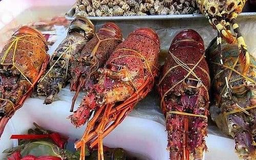 大龙虾多少钱一斤_今日批发价是多少-第3张图片-山城妙识