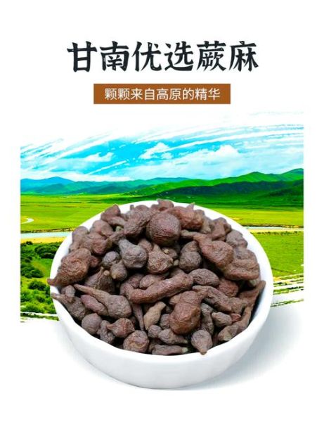 蕨麻是什么_蕨麻怎么吃效果最好-第1张图片-山城妙识 蕨麻是什么_蕨麻怎么吃效果最好-第1张图片-山城妙识