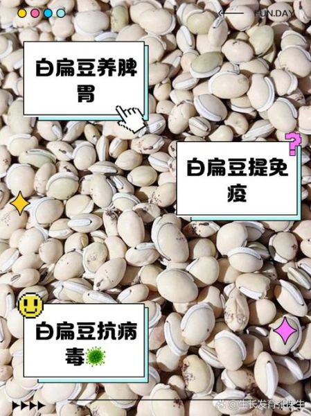 白扁豆的功效与作用_白扁豆的禁忌症-第3张图片-山城妙识 白扁豆的功效与作用_白扁豆的禁忌症-第3张图片-山城妙识