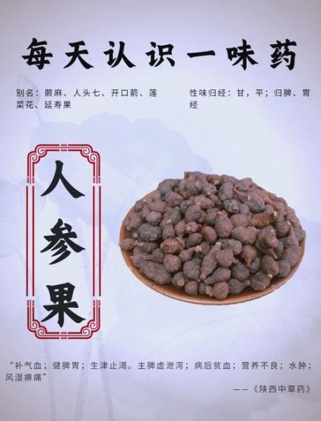 蕨麻是什么_蕨麻怎么吃效果最好-第3张图片-山城妙识 蕨麻是什么_蕨麻怎么吃效果最好-第3张图片-山城妙识