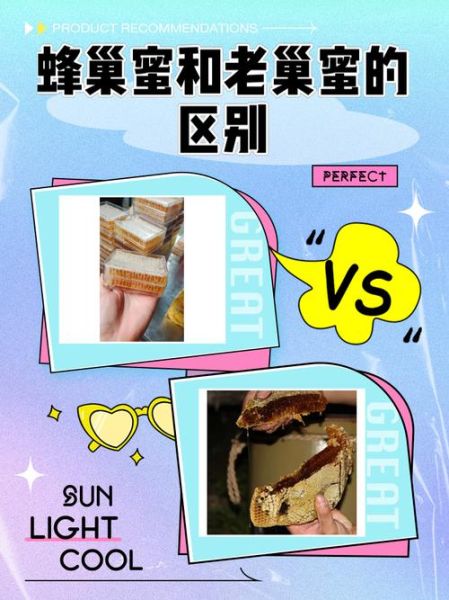 蜂巢蜜有假的吗_如何辨别真假蜂巢蜜-第1张图片-山城妙识
