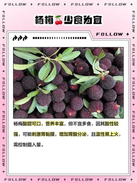 发物最厉害的水果有哪些_哪些水果容易诱发旧疾-第2张图片-山城妙识 发物最厉害的水果有哪些_哪些水果容易诱发旧疾-第2张图片-山城妙识