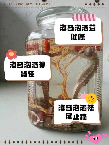 海马配什么药材补肾最佳_海马补肾壮阳配方-第2张图片-山城妙识