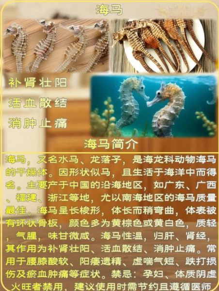 海马配什么药材补肾最佳_海马补肾壮阳配方-第1张图片-山城妙识