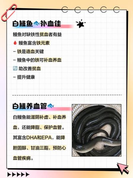 白鳗鱼多少钱一斤_白鳗鱼价格行情-第2张图片-山城妙识 白鳗鱼多少钱一斤_白鳗鱼价格行情-第2张图片-山城妙识