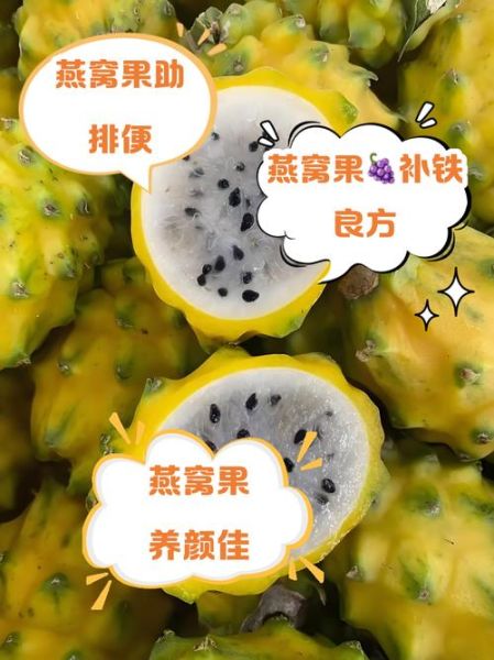 燕窝果的功效与作用_燕窝果的禁忌有哪些-第1张图片-山城妙识