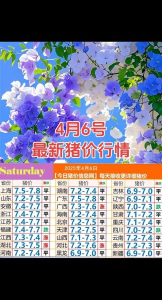 今日全国猪价多少钱一斤_2024年6月最新猪价走势-第2张图片-山城妙识