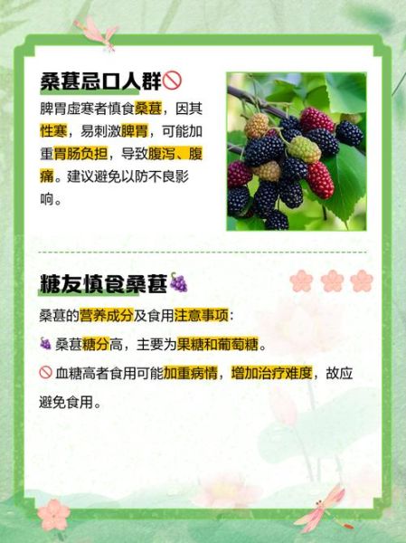 女人吃桑葚的禁忌_经期能吃吗-第3张图片-山城妙识