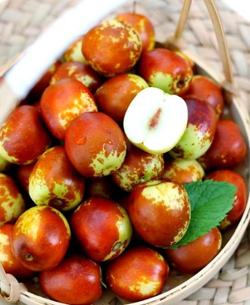 脆冬枣热量高吗_脆冬枣减肥能吃吗-第3张图片-山城妙识