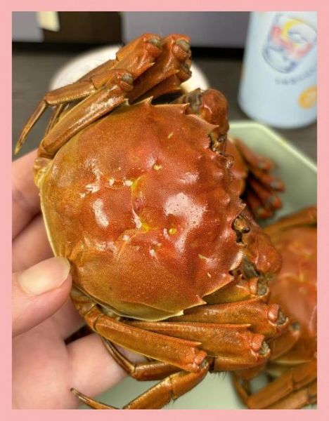 六月黄大闸蟹是什么_六月黄和成熟蟹区别-第2张图片-山城妙识