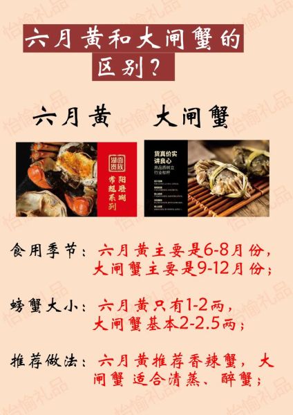 六月黄大闸蟹是什么_六月黄和成熟蟹区别-第1张图片-山城妙识