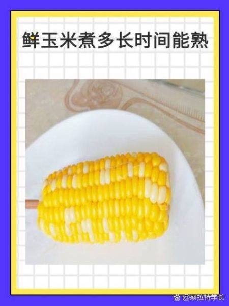 新鲜玉米煮几分钟能熟_怎么判断玉米熟了没-第1张图片-山城妙识