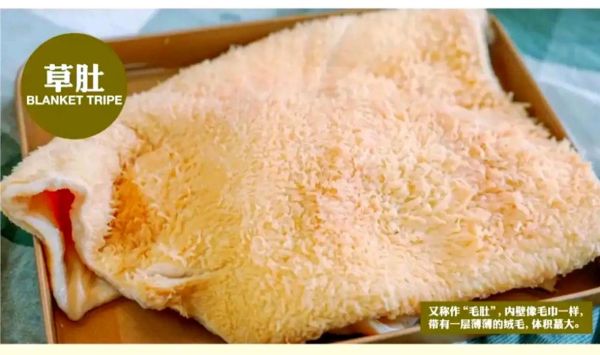 毛肚和牛肚一样吗_区别与选购指南-第1张图片-山城妙识