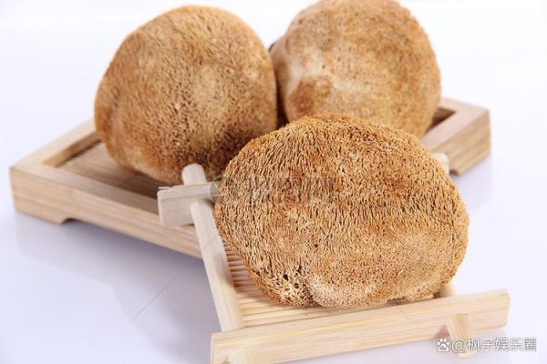 干猴头菇怎么泡发最好_猴头菇泡发多久才软-第2张图片-山城妙识 干猴头菇怎么泡发最好_猴头菇泡发多久才软-第2张图片-山城妙识