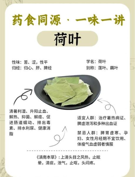 荷叶真的能减肥吗_荷叶减肥原理-第1张图片-山城妙识