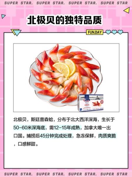 北极贝是贝类哪个部位_北极贝是活的还是死的-第3张图片-山城妙识