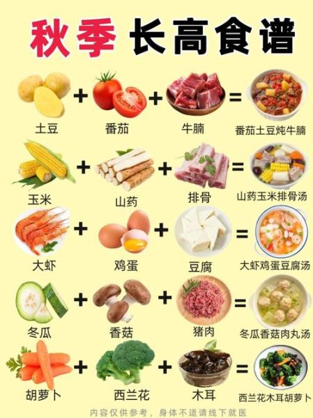 幼儿园秋季食谱安排表_如何科学搭配-第2张图片-山城妙识