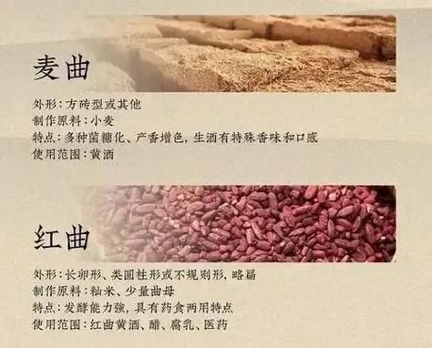 酒曲可以发酵面粉吗_酒曲和酵母的区别-第2张图片-山城妙识