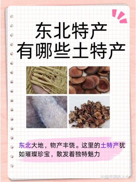 东北特产有哪些_东北特产送人推荐-第2张图片-山城妙识 东北特产有哪些_东北特产送人推荐-第2张图片-山城妙识