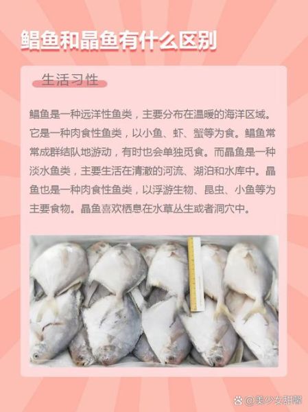 一平鱼二晶鱼三鲳鱼区别_哪种最好吃-第1张图片-山城妙识