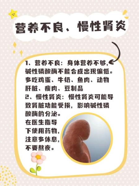 碱性磷酸酶偏低说明什么_偏低原因有哪些-第1张图片-山城妙识