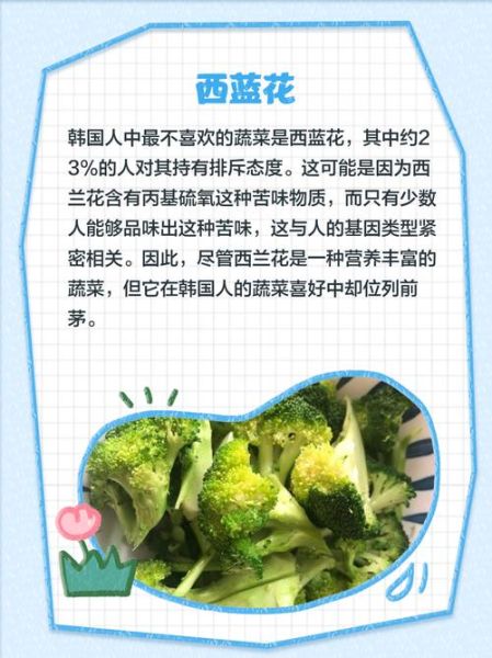 韩国人为什么不炒菜吃_韩国饮食为什么没有爆炒-第1张图片-山城妙识