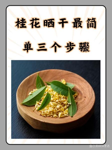 桂花阴干的正确做法_桂花怎么阴干不变色-第2张图片-山城妙识 桂花阴干的正确做法_桂花怎么阴干不变色-第2张图片-山城妙识