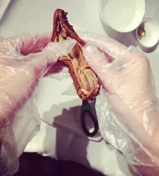 海参怎么发才正确_干海参泡发全过程-第1张图片-山城妙识