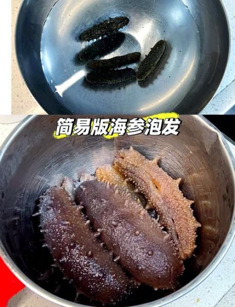 泡发好的海参怎么保存_冷藏还是冷冻-第1张图片-山城妙识