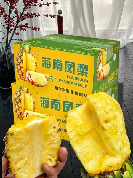 凤梨价格多少钱一斤_凤梨多少钱一斤2024-第3张图片-山城妙识