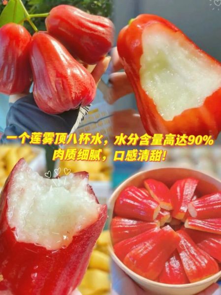 莲雾八杯水真的吗_莲雾含水量多少-第1张图片-山城妙识 莲雾八杯水真的吗_莲雾含水量多少-第1张图片-山城妙识