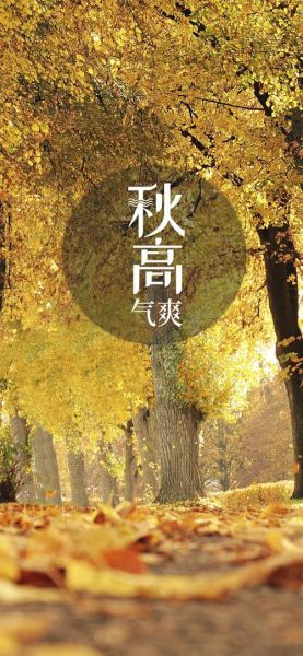 秋高气爽是什么意思_秋高气爽适合做什么-第2张图片-山城妙识