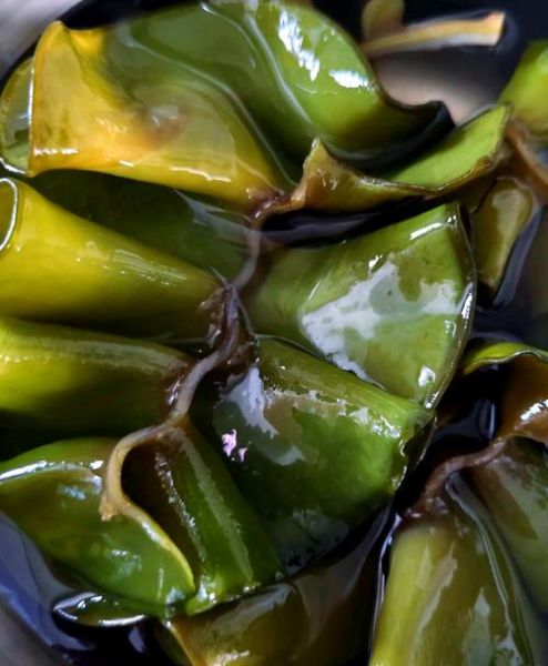 海木耳不能和什么一起吃_海木耳相克食物有哪些-第3张图片-山城妙识 海木耳不能和什么一起吃_海木耳相克食物有哪些-第3张图片-山城妙识