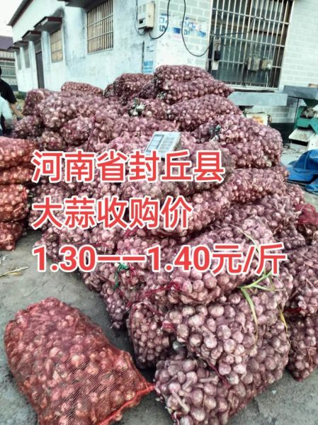 今日大蒜价格多少钱一斤_蒜通天下最新行情-第1张图片-山城妙识 今日大蒜价格多少钱一斤_蒜通天下最新行情-第1张图片-山城妙识