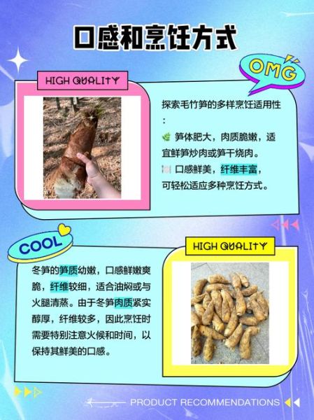 冬笋和春笋的区别_冬笋怎么挑选-第2张图片-山城妙识 冬笋和春笋的区别_冬笋怎么挑选-第2张图片-山城妙识