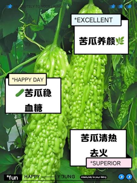 每天吃苦瓜有害处吗_苦瓜吃多了会怎样-第1张图片-山城妙识 每天吃苦瓜有害处吗_苦瓜吃多了会怎样-第1张图片-山城妙识