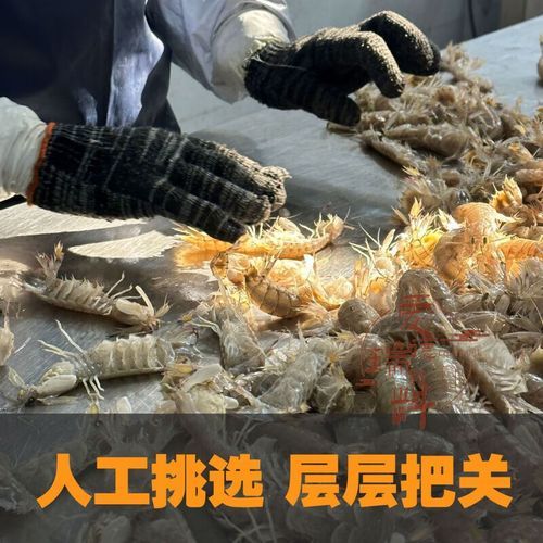 椒盐虾蛄怎么做好吃_椒盐虾蛄的做法步骤-第3张图片-山城妙识 椒盐虾蛄怎么做好吃_椒盐虾蛄的做法步骤-第3张图片-山城妙识