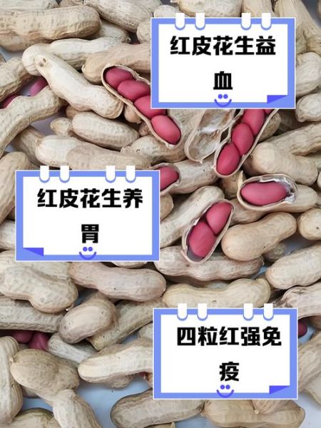 花生米降血压吗_花生米有哪些禁忌人群-第1张图片-山城妙识
