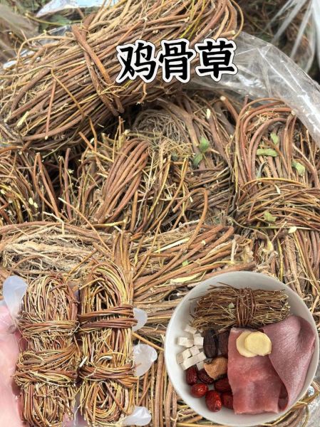鸡骨草多少钱一斤_鸡骨草价格行情-第1张图片-山城妙识