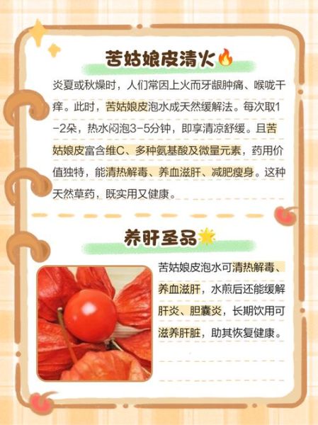 苦姑娘泡水喝的禁忌_苦姑娘泡水一天喝几次-第2张图片-山城妙识