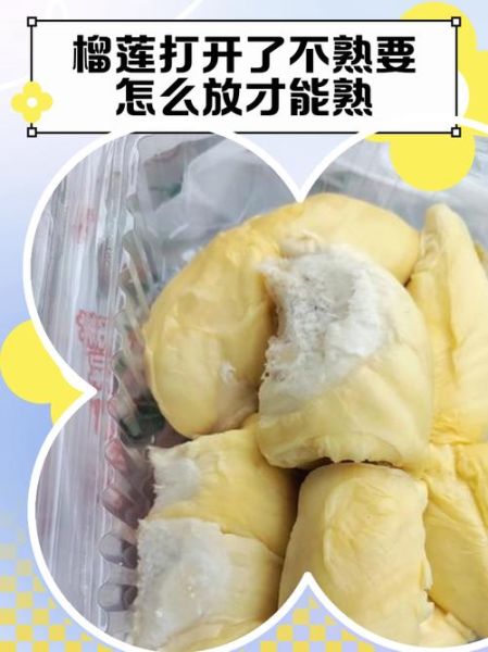 榴莲打开发现没熟怎么办_榴莲不熟怎么催熟最快-第3张图片-山城妙识
