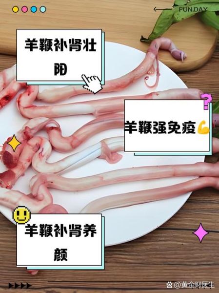 羊鞭的功效与作用_羊鞭怎么吃最补肾-第2张图片-山城妙识 羊鞭的功效与作用_羊鞭怎么吃最补肾-第2张图片-山城妙识